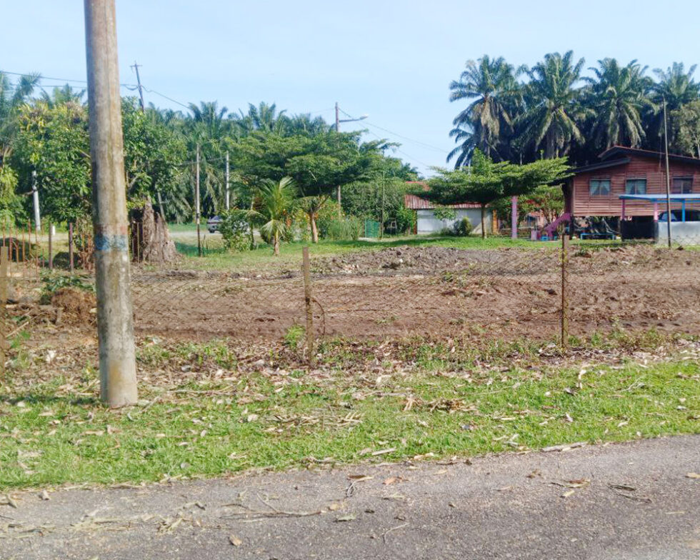 Servis Tebang &Potong Pokok | Merumput