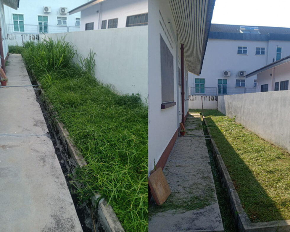 Merumput | Servis Memotong, Menanam & Memasang Rumput Hidup Serta Tiruan